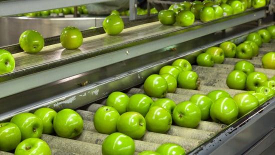 Fruit and Vegetable Processing Solutions | Ecolab